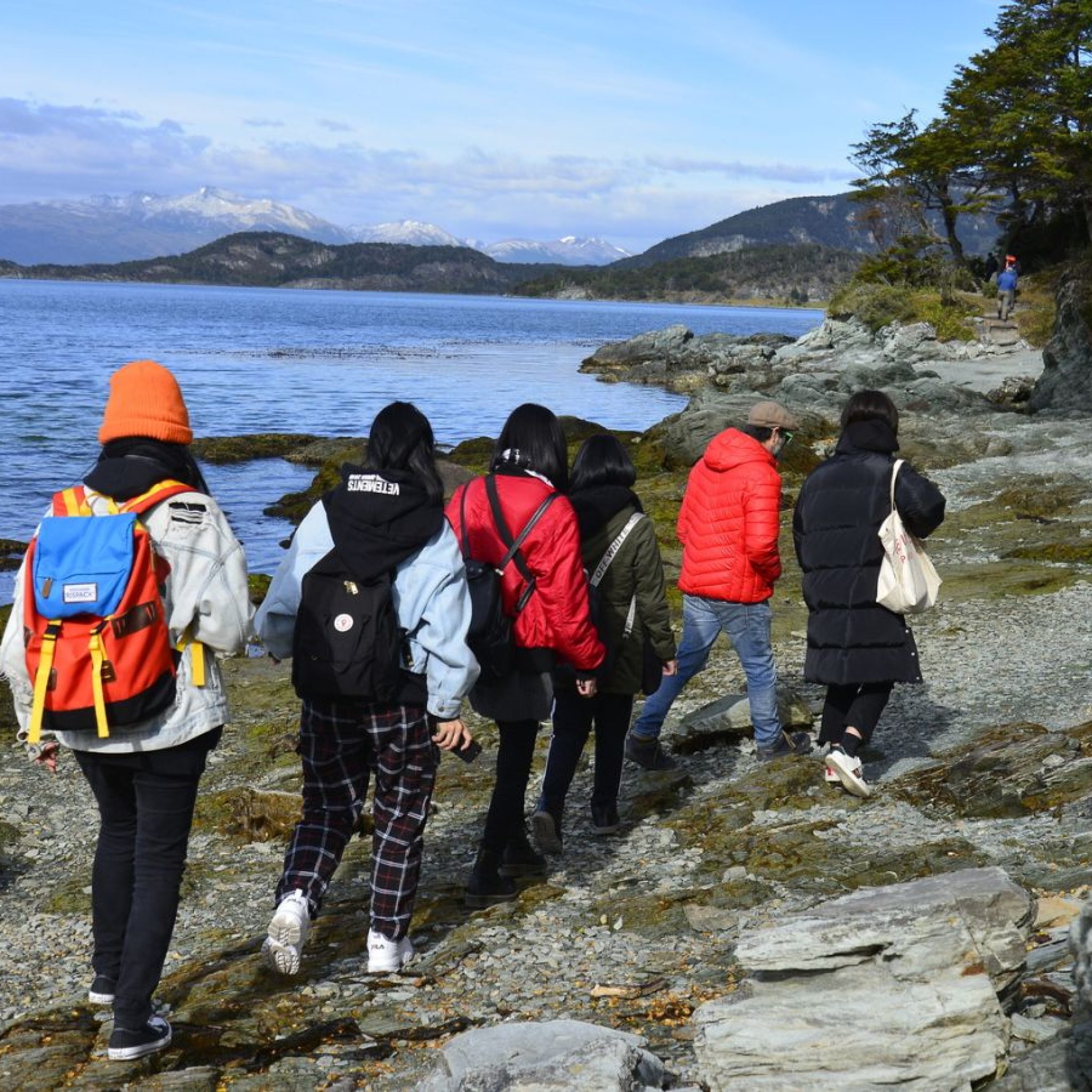 Parque Nacional Tierra del Fuego: un tesoro natural en el Fin del Mundo ...