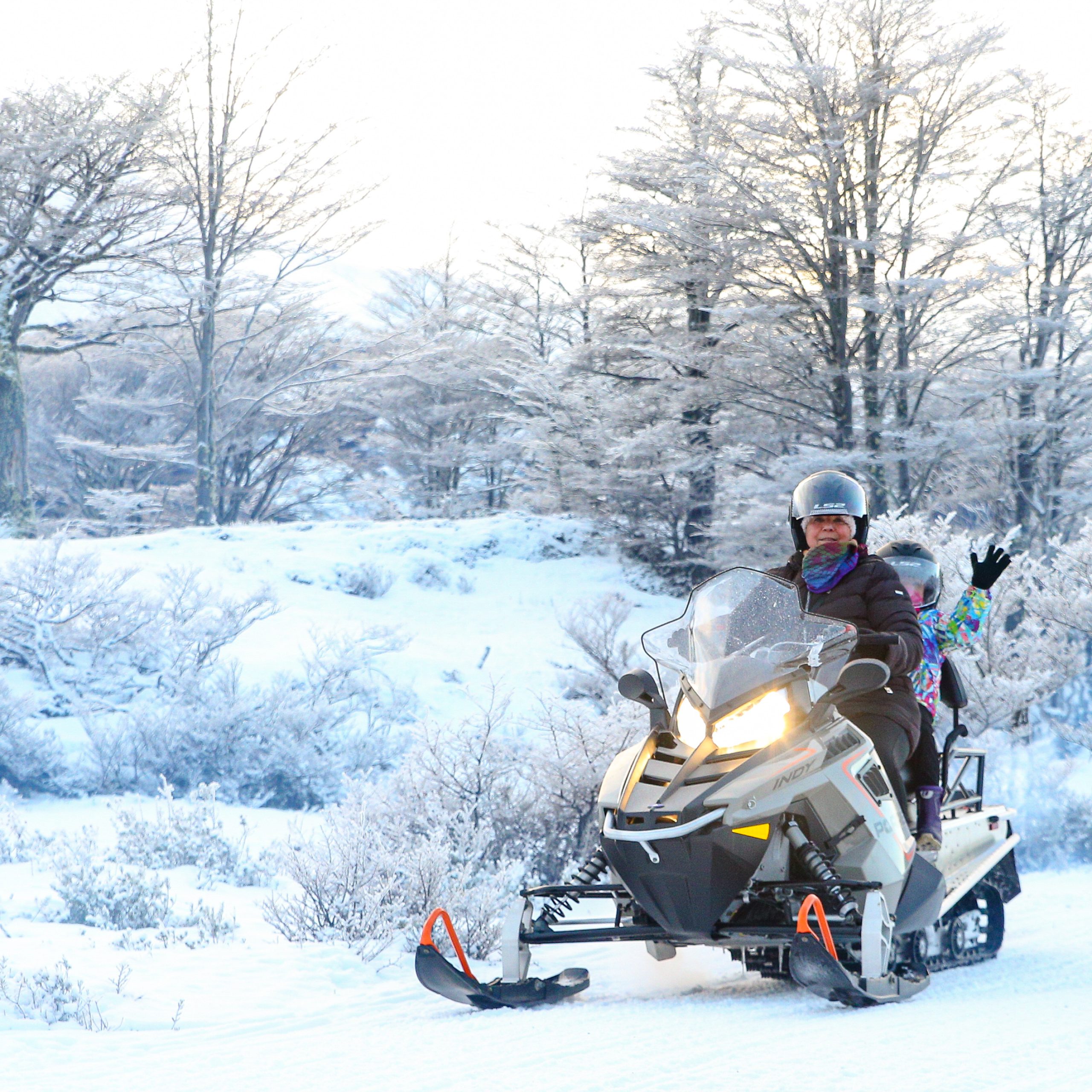 Full day nieve con trineo - Pingüinos Expediciones | Tours y Viajes a ...